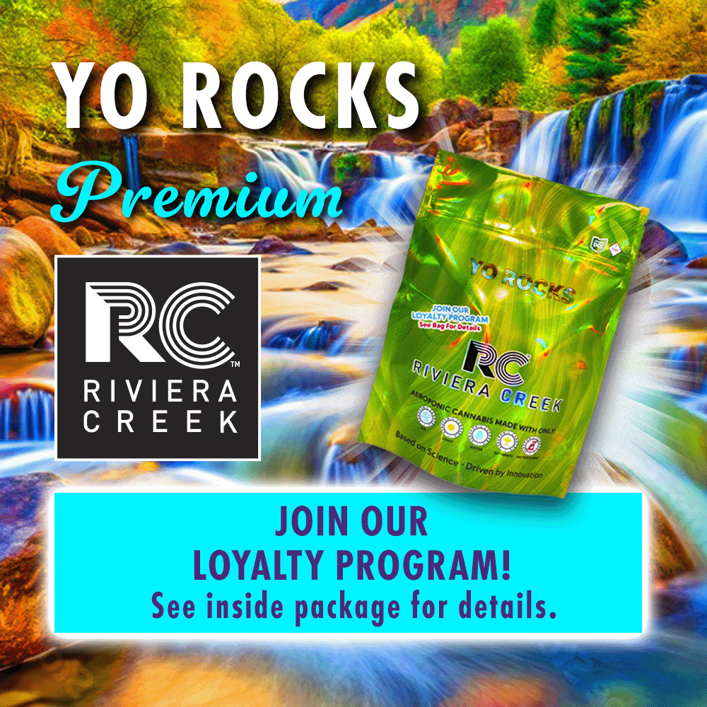 Yo Rocks - 14.15g Whole Buds - Sativa | Riviera Creek | Bloom