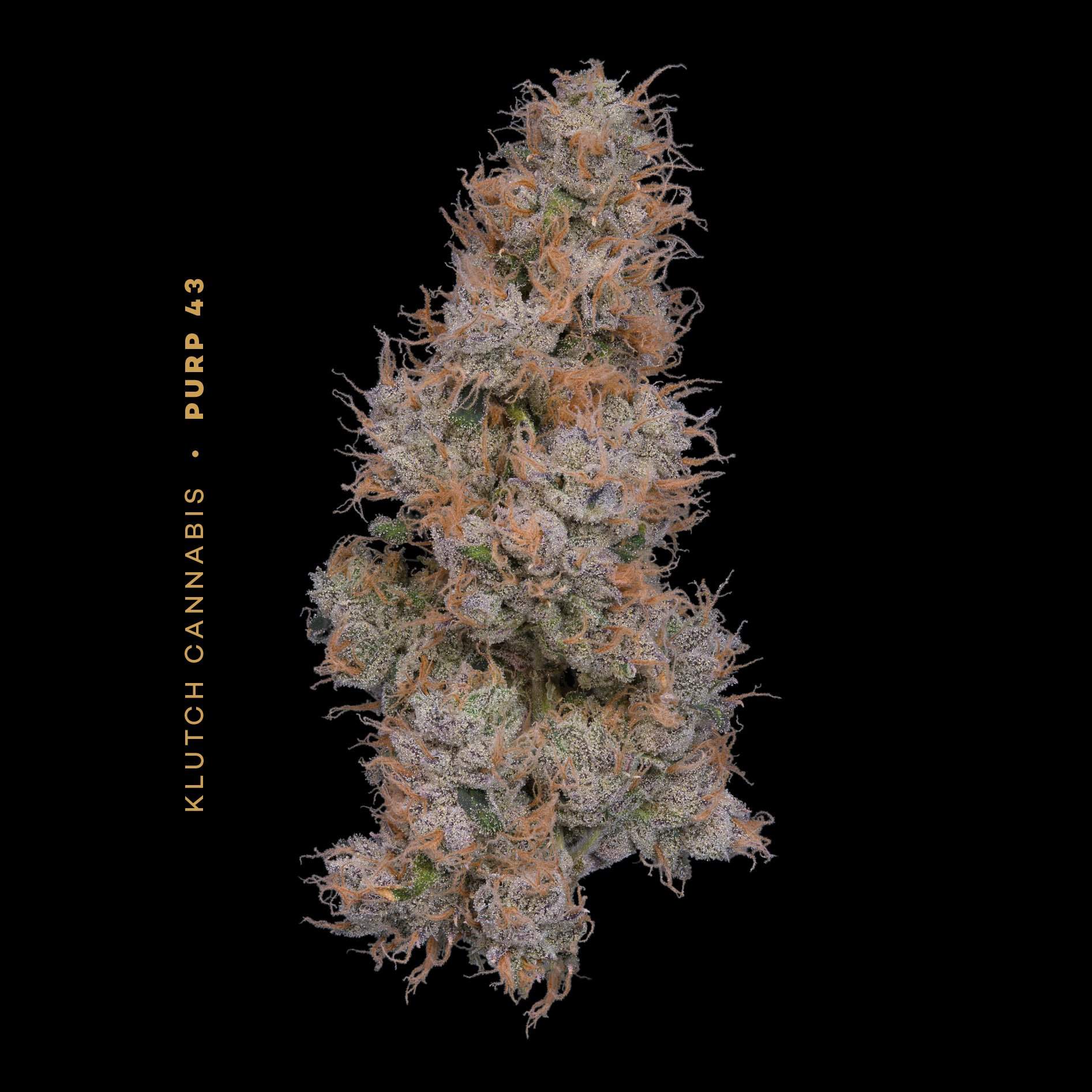 Buy Recreational Marijuana Flower Products in Akron, OH | Bloom